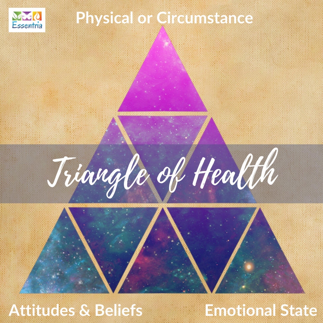 The Triangle of Health — Essentria Aromatherapy