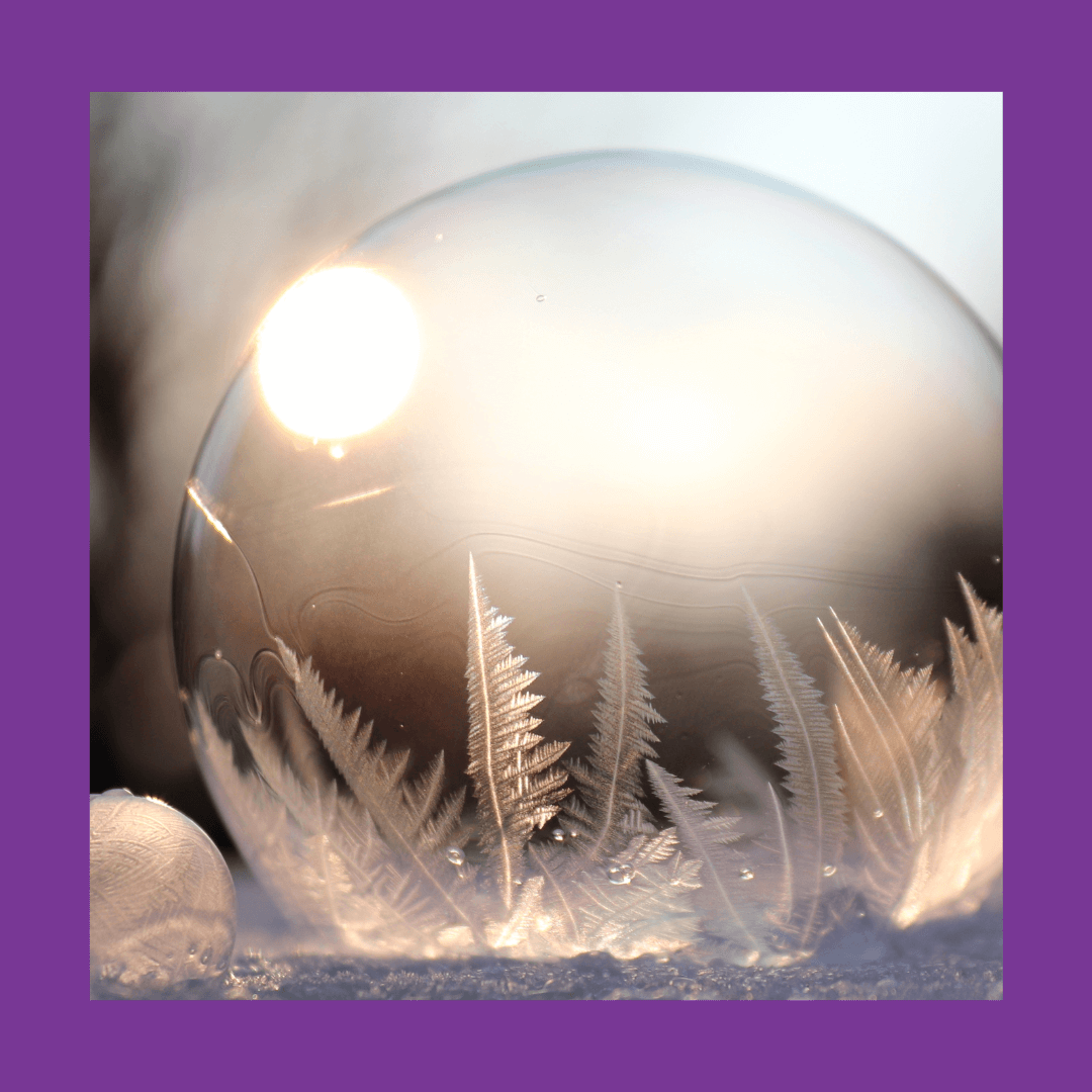 Aromatherapy Secrets to Embrace the Winter Solstice — Essentria ...