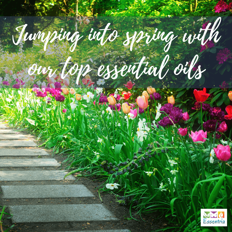 Jumping into spring with our top essential oils — Essentria Aromatherapy