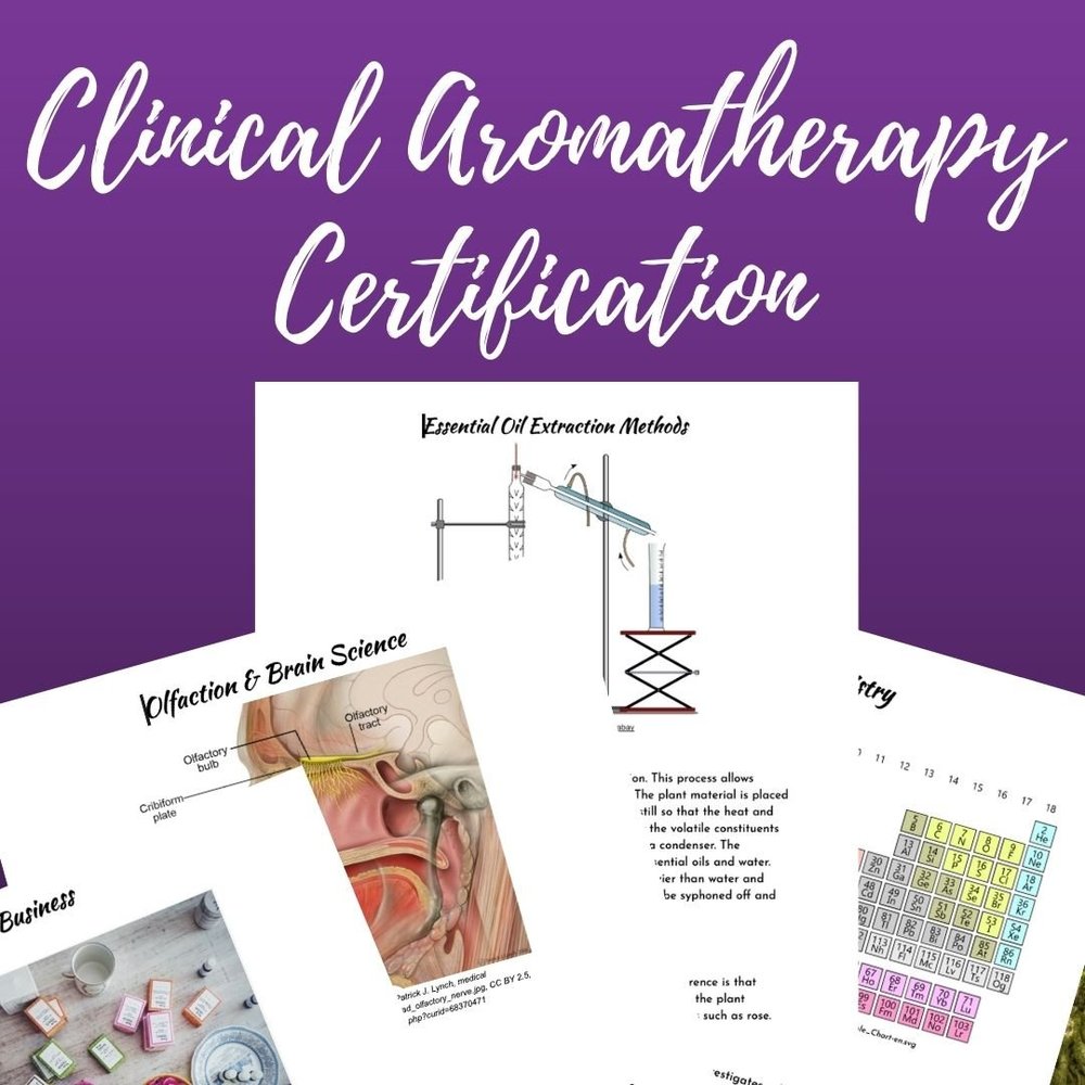 Clinical Aromatherapy Certification Course with Aroma Massage — Essentria Aromatherapy