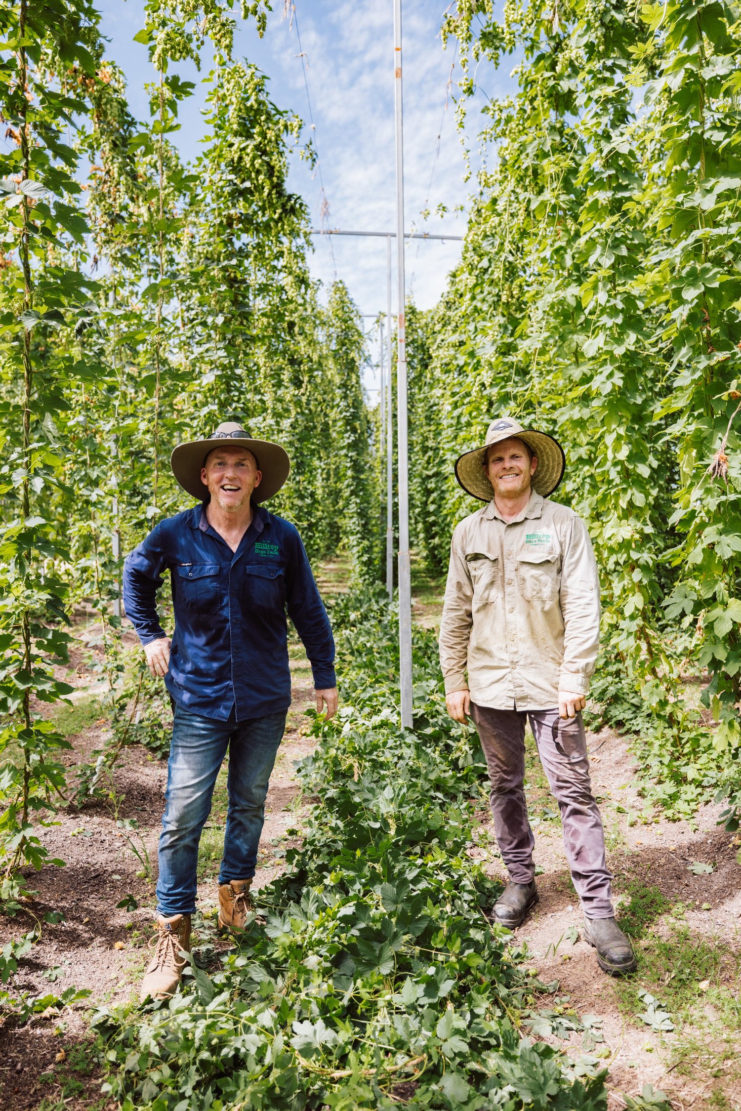 Hilltop Hops Farm