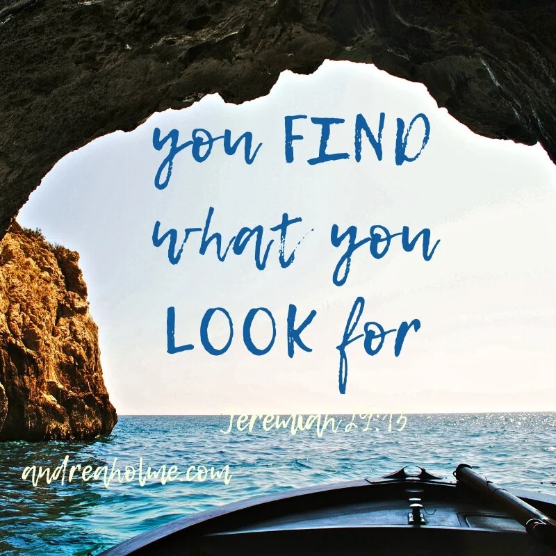 You Find What You Look For — andreaholme.com