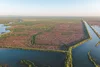 Lookout Slough Tidal Habitat Restoration Project — Hanford Builds