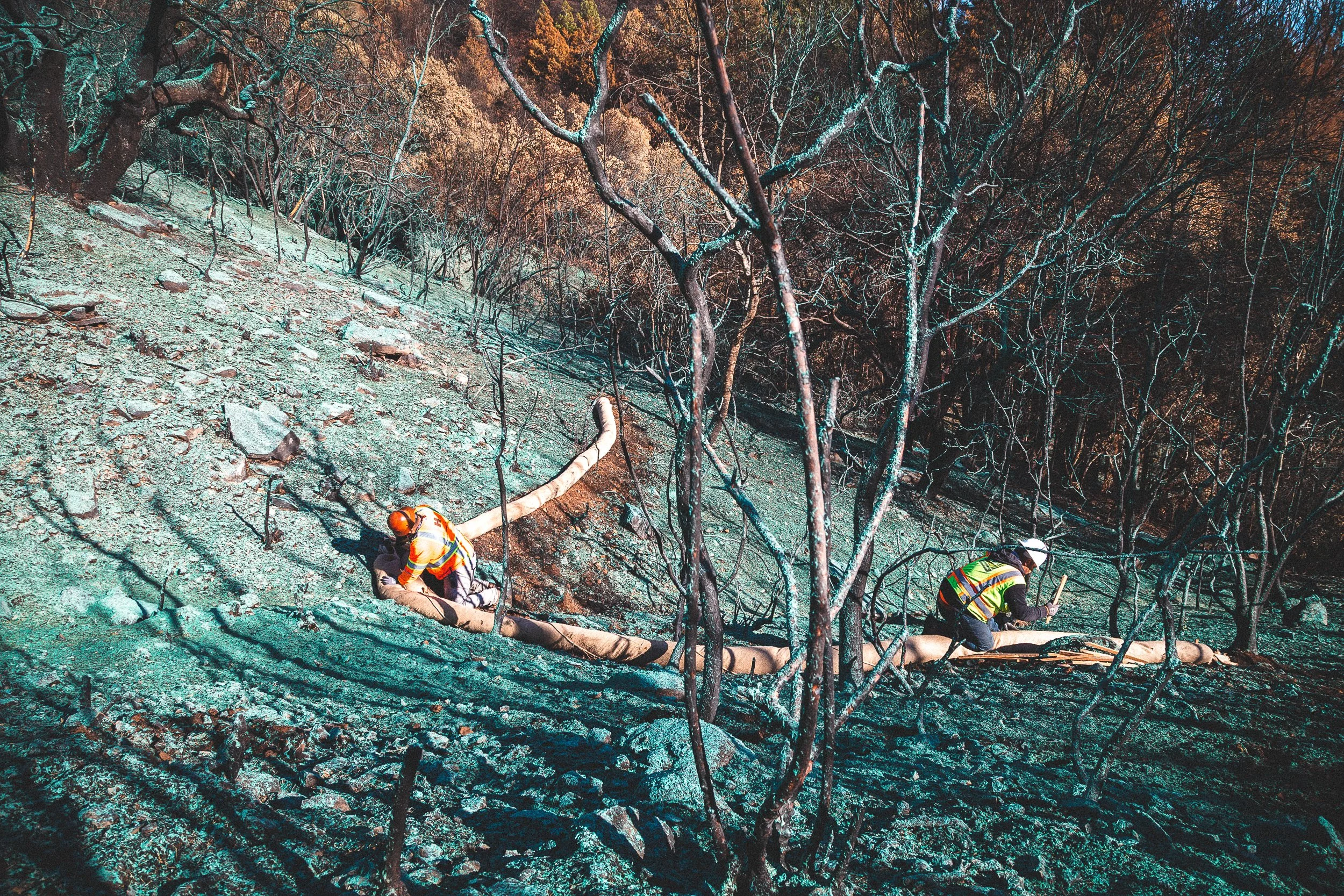 Post Fire Recovery Hydroseeding, Spring Mt. Road — Hanford Builds
