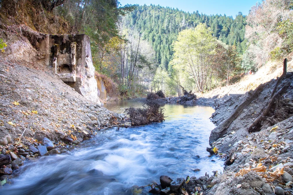 Hanford Non-Profit partnership projects — Hanford Builds
