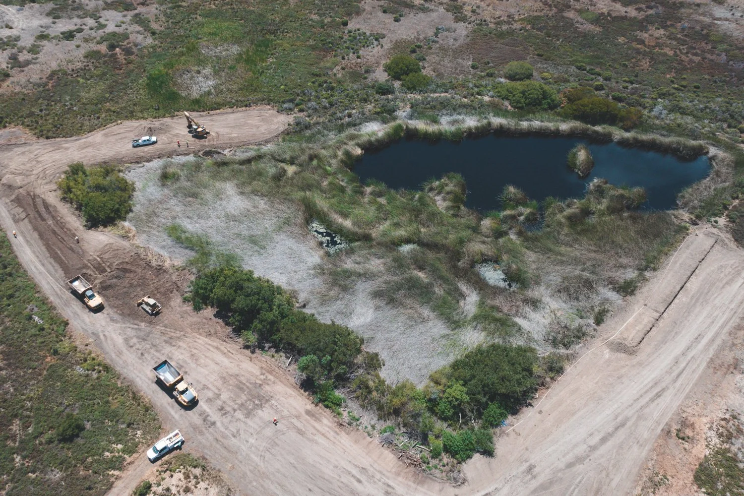 Green Oaks Habitat Restoration — Hanford Builds
