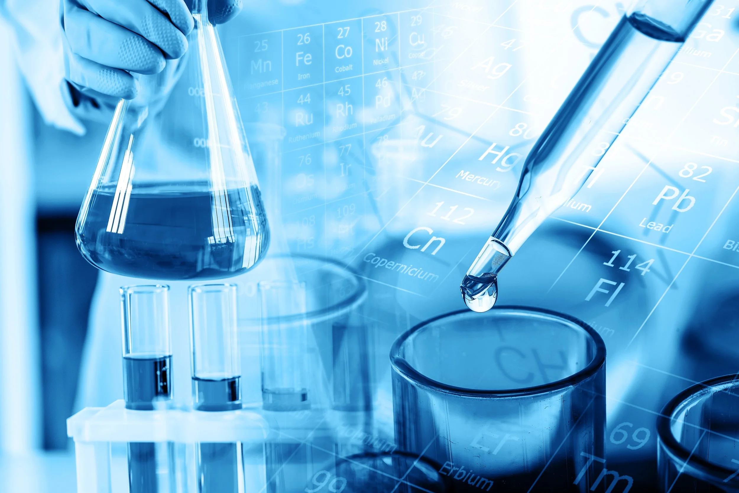 HQS Quantum Simulations