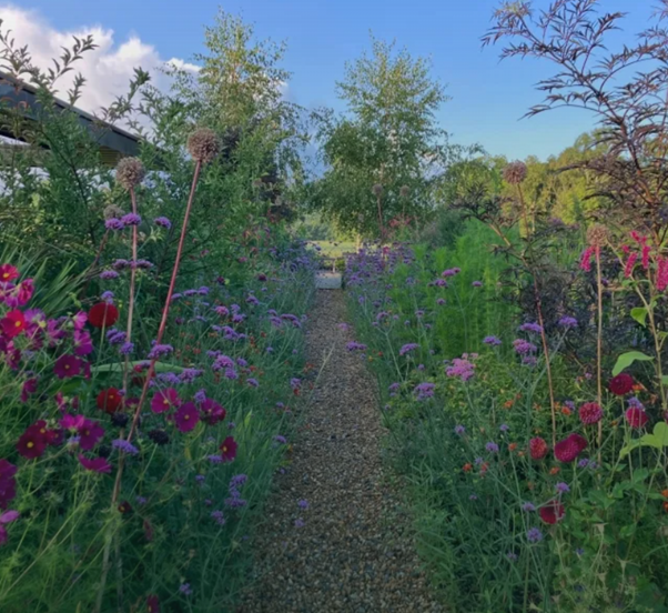 What's Happening in Tonbridge — Tonbridge Town Team