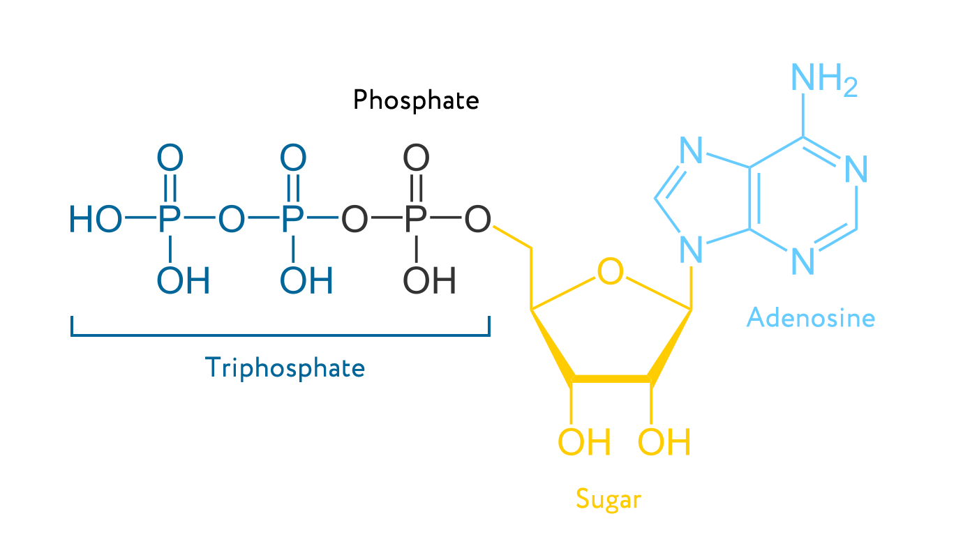 ATP Testing: Result Interpretation for Healthcare | Sky Chemicals UK Ltd