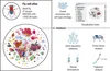 The Human Cell Atlas and Beyond: An Introduction to Single-Cell Data ...