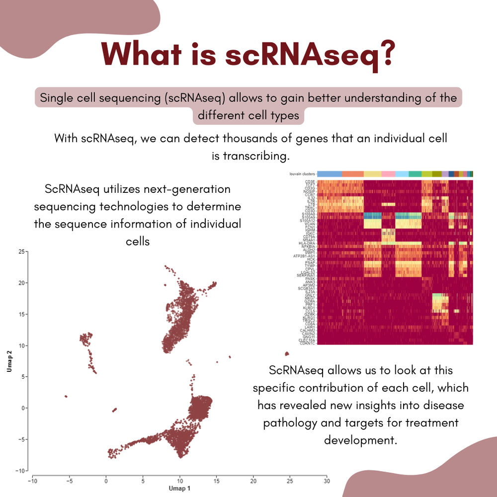 How scRNA-seq Became the New Hot Topic