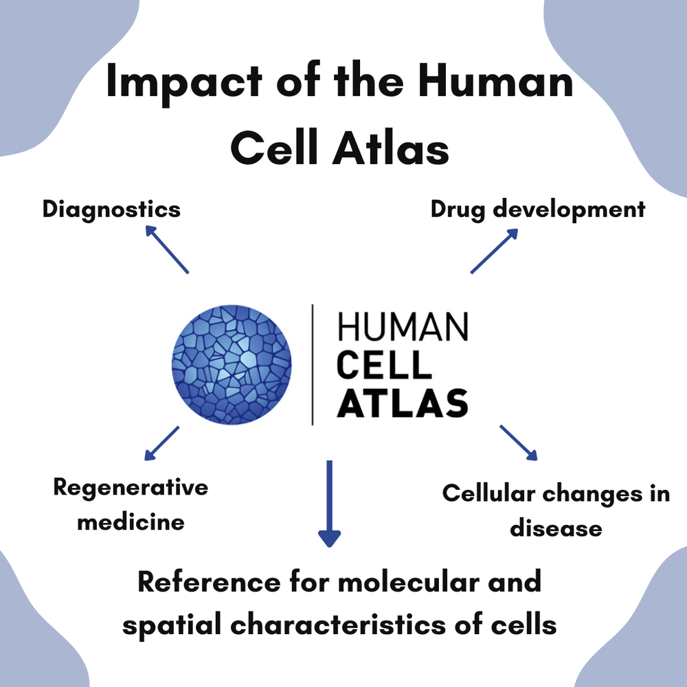 The Human Cell Atlas and Beyond: An Introduction to Single-Cell Data ...
