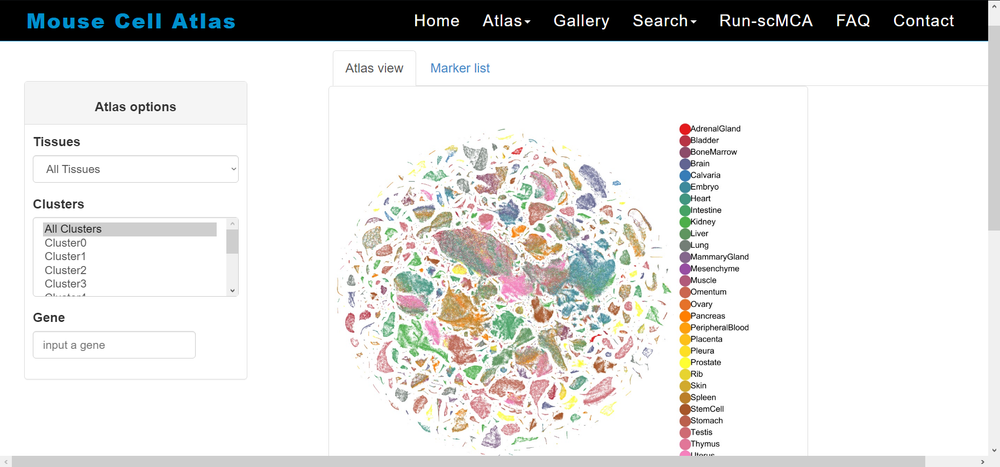 The Human Cell Atlas and Beyond: An Introduction to Single-Cell Data ...