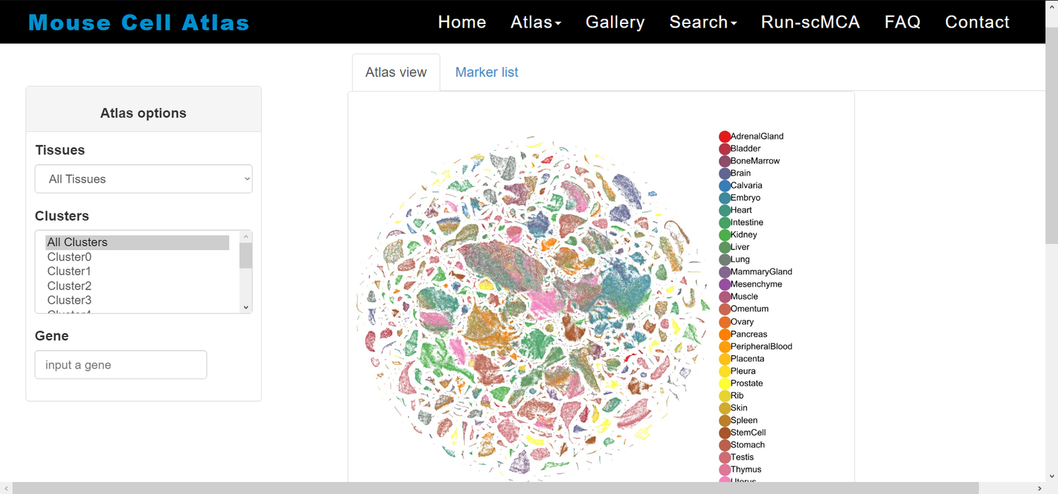 The Human Cell Atlas and Beyond: An Introduction to Single-Cell Data ...