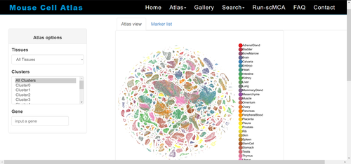 The Human Cell Atlas and Beyond: An Introduction to Single-Cell Data ...