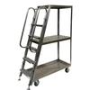 Ladder Carts — Picking Carts With Ladders | Rol-Away