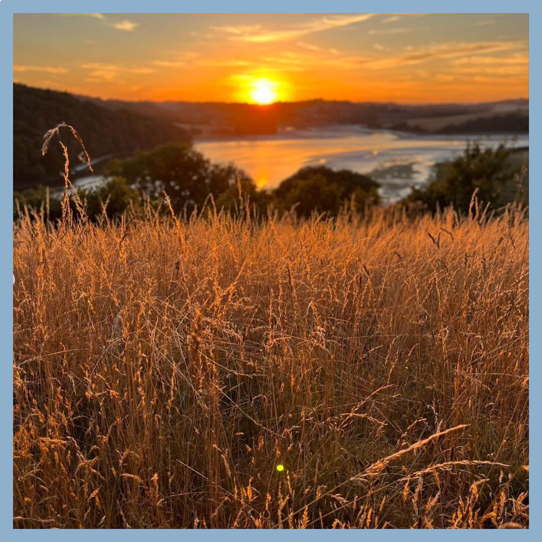 Retreat: Erth, July 2025 — KATHERINE MAY