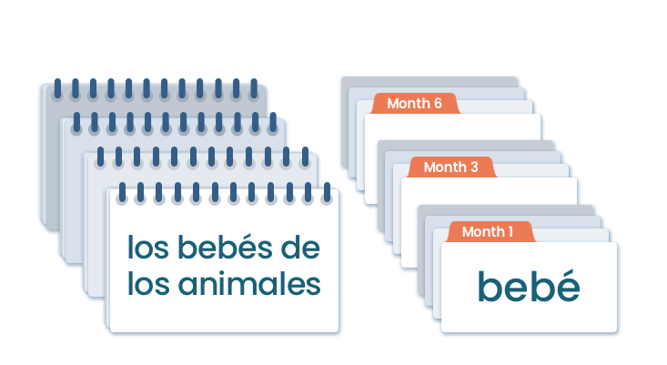 Teach Your Baby with Doman Learning | Courses & Materials — Doman Learning®