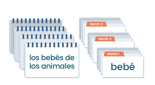Teach Your Baby with Doman Learning | Courses & Materials — Doman Learning®