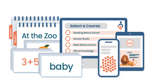 Teach Your Baby Reading, Math & More | Premium Doman Bundle — Doman ...