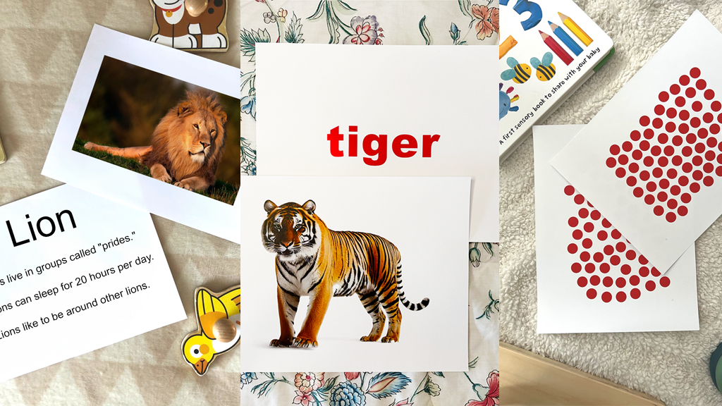 Glenn Doman Flash Cards — Doman Learning®