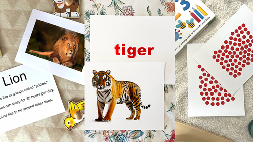 Glenn Doman Flash Cards — Doman Learning®
