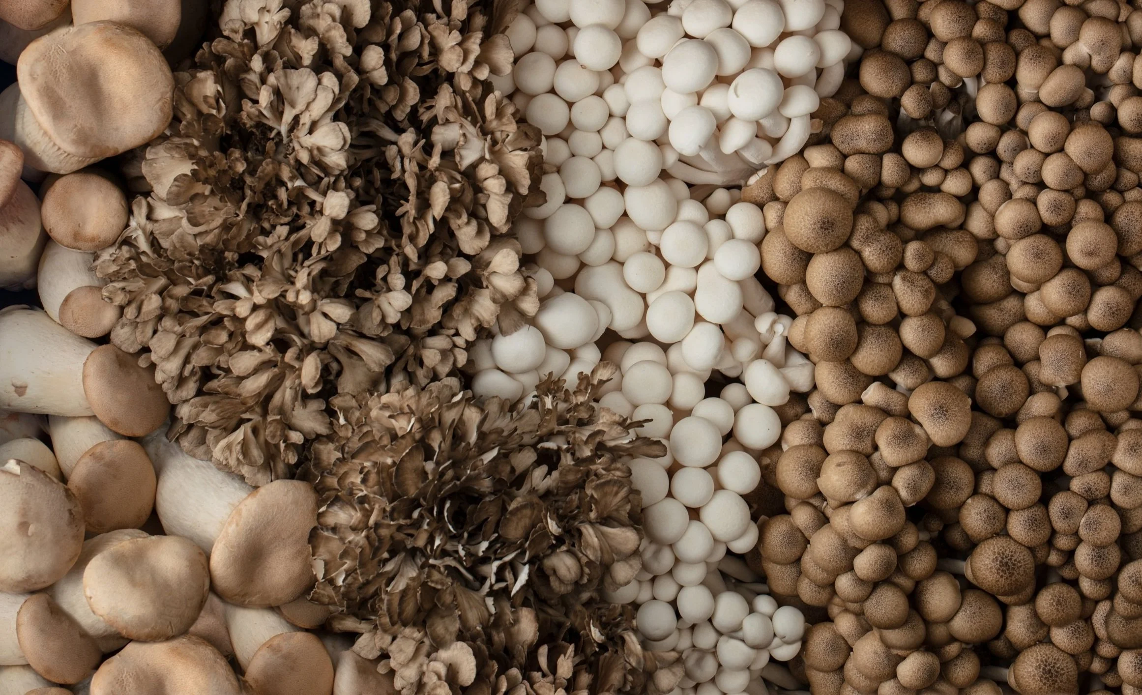 Chef's Mix — RI Mushroom Co.