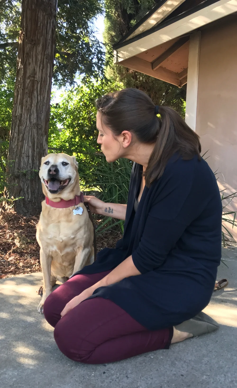Services — Modern Dog Training with Emily