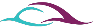 CTAAN – Centre for Technology Adoption for Aging in the North