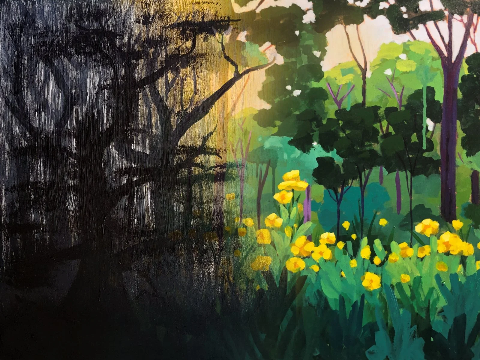 Duality of Light and Darkness in Nature — The Curious Rabbit