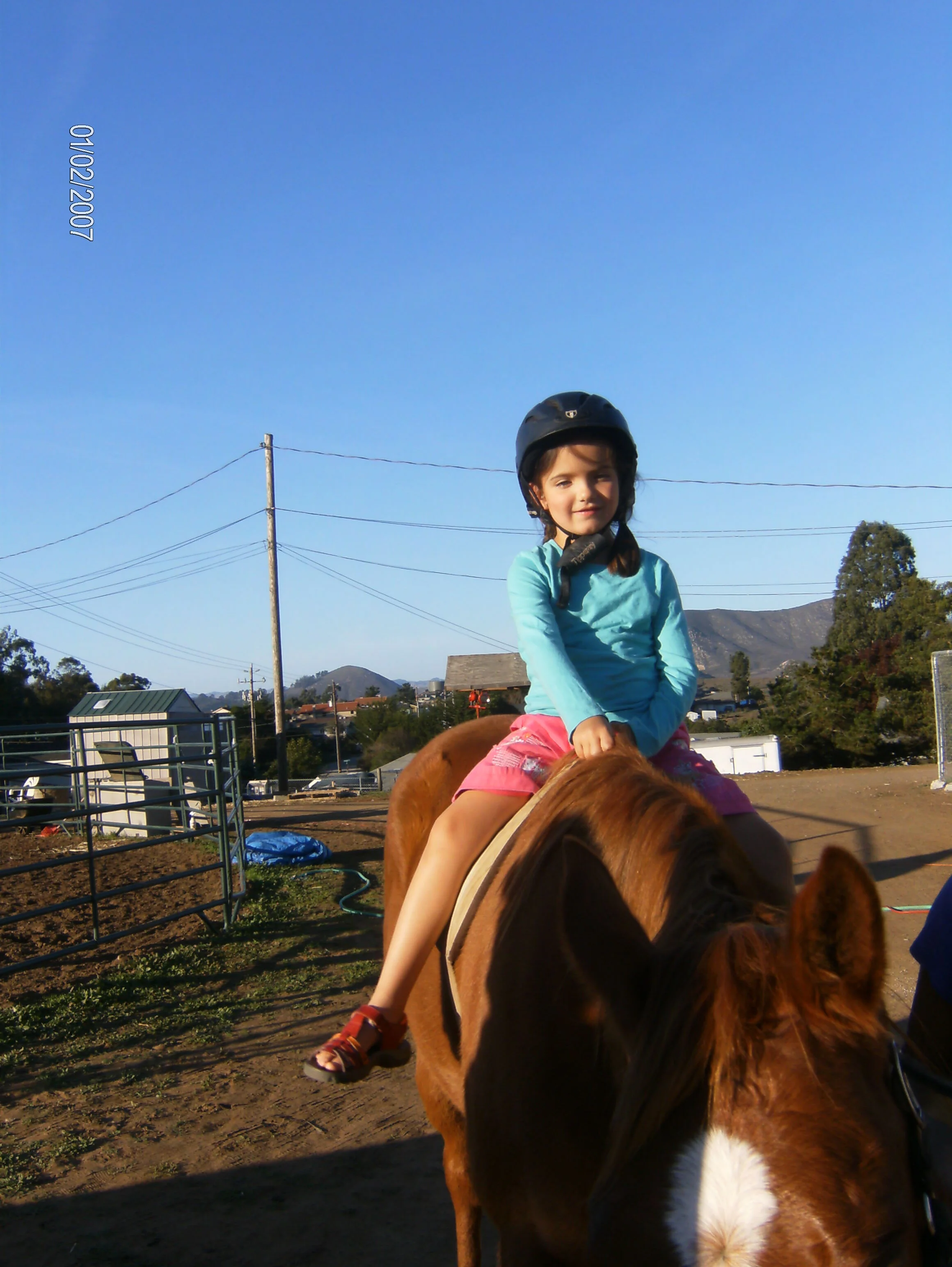 Learning Sessions — The Horse Experience