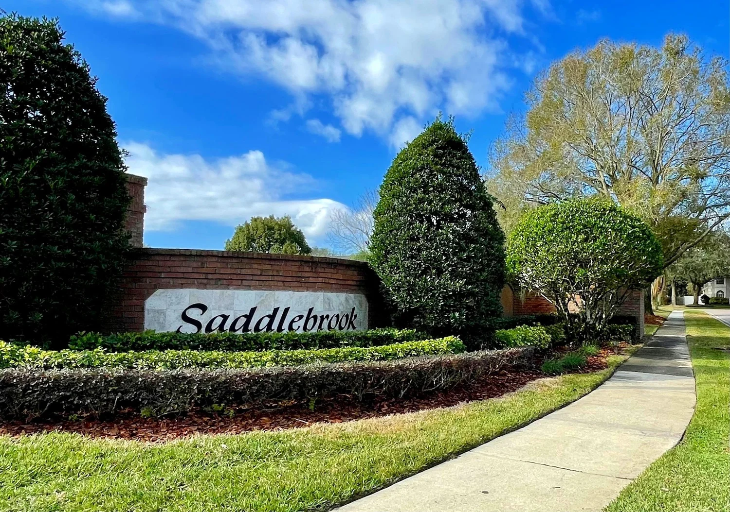 Saddlebrook Homeowners Association