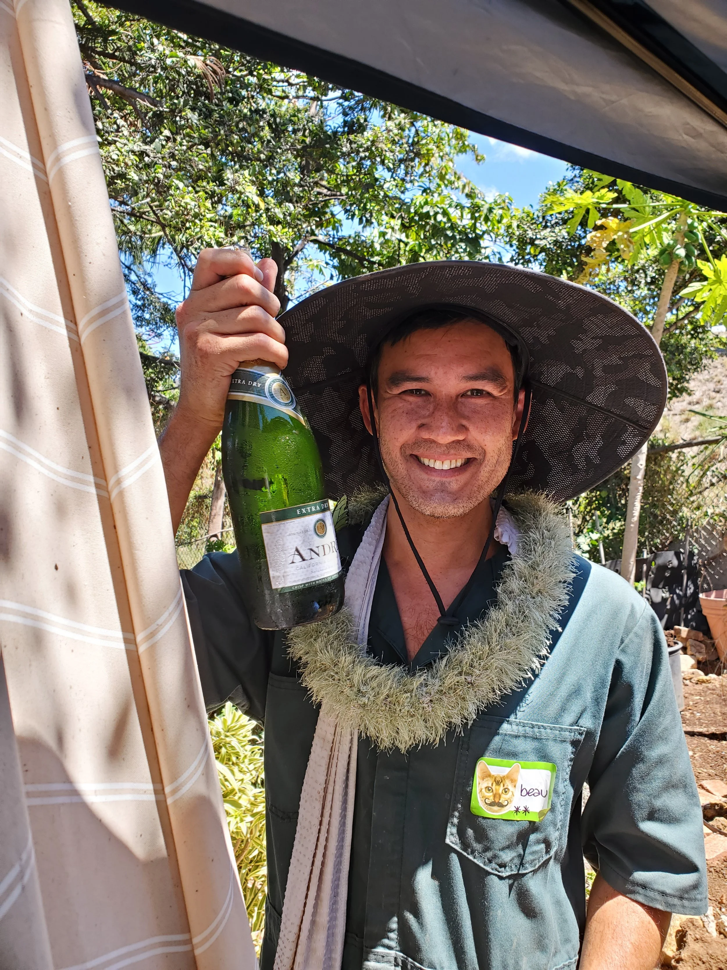 Hawaii Potters' Guild Garden Makeover — Hawaii Potters Guild