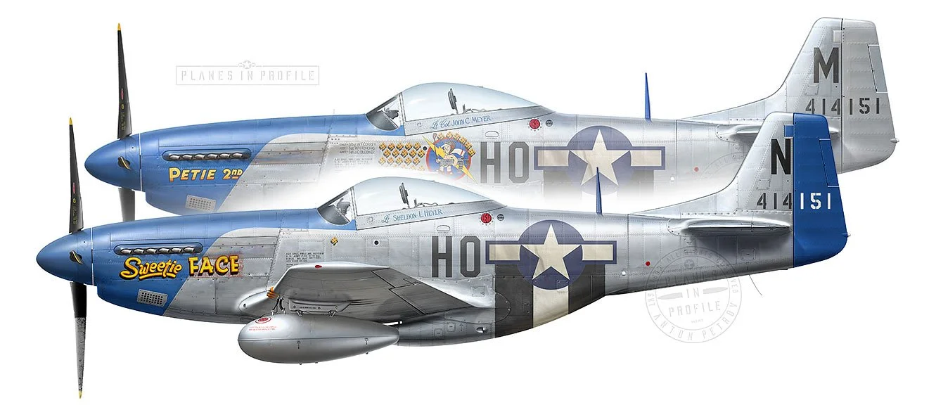 North American, P-51D (Mustang), airplane profile art gallery interface ...