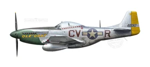 North American, P-51D (Mustang), airplane profile art gallery interface ...