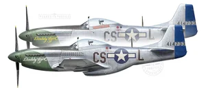 North American, P-51D (Mustang), airplane profile art gallery interface ...
