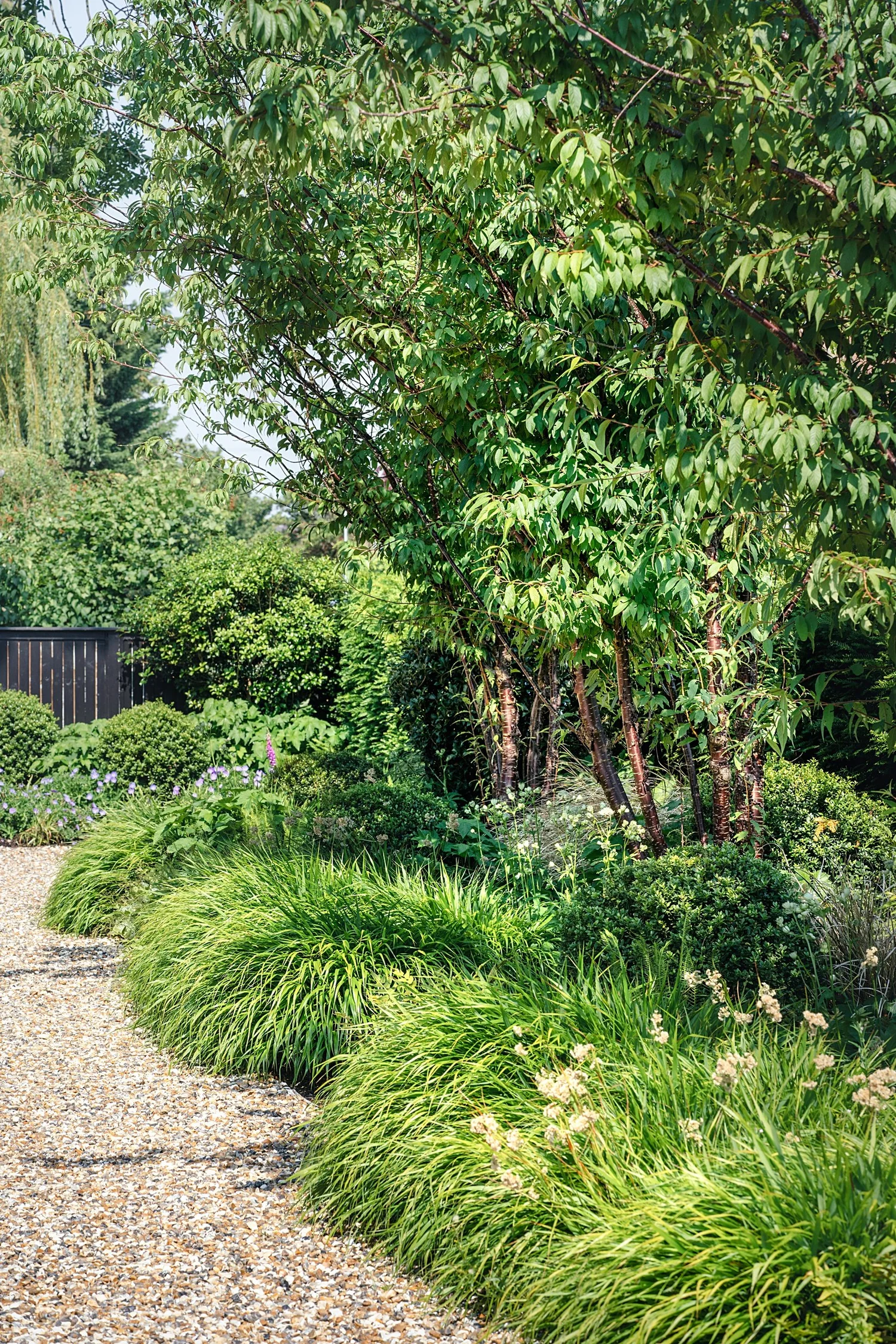 WINDSOR GARDEN | Studio Pollyanna Landscape Design