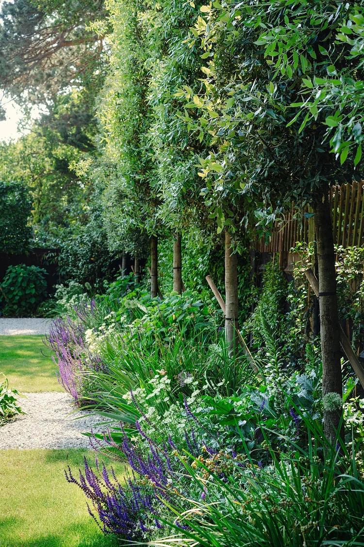 Cobham Family Garden | Studio Pollyanna Landscape Design