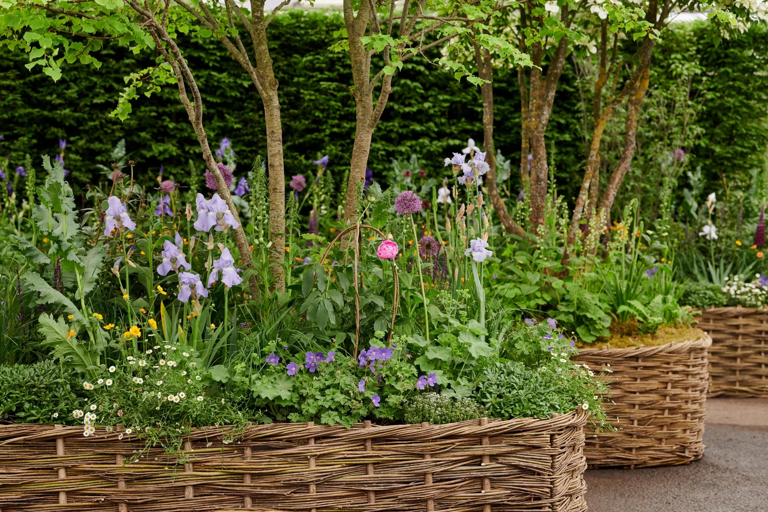 RHS Chelsea Flower Show 2023 | Studio Pollyanna Landscape Design