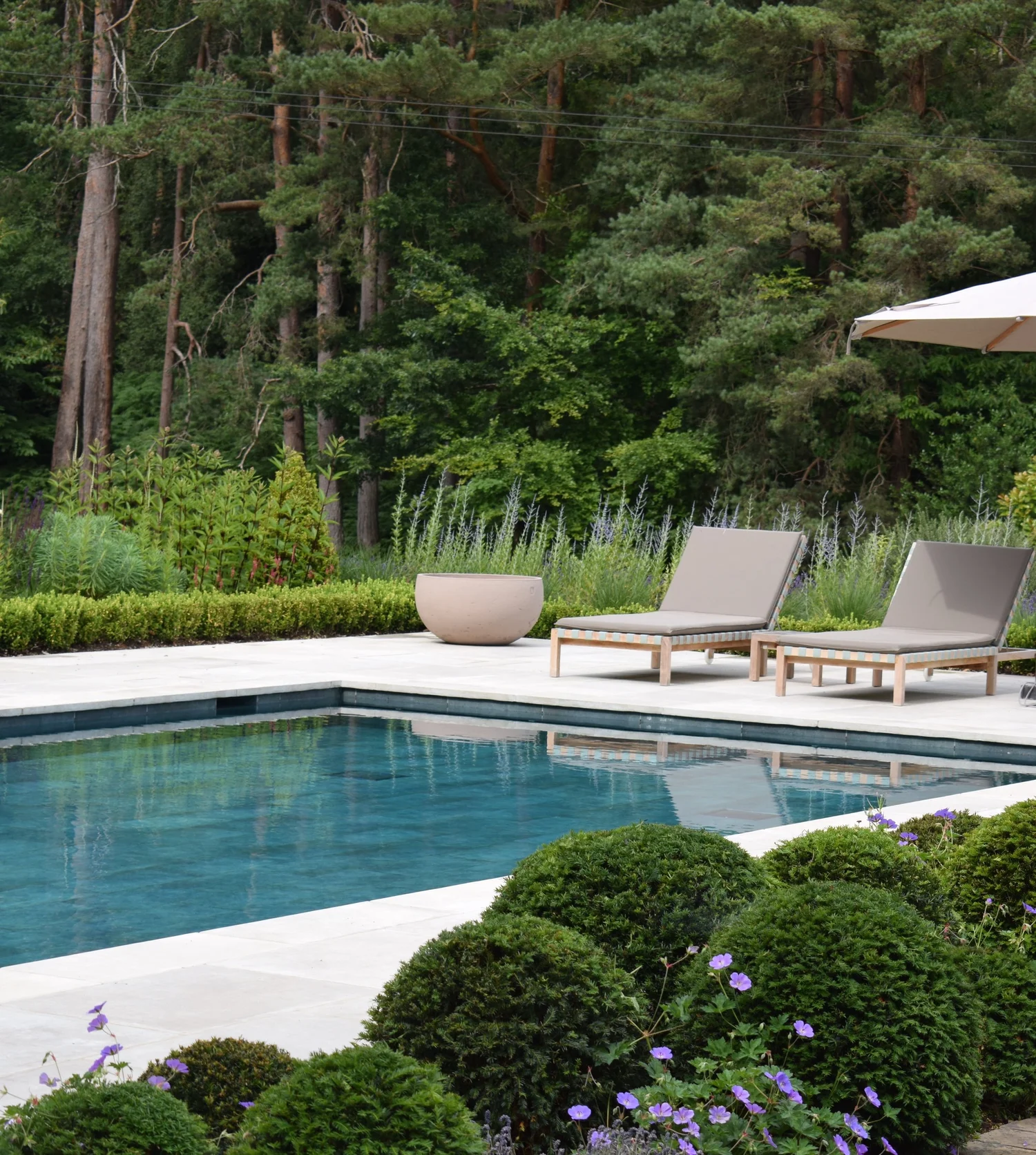 SURREY POOL GARDEN | Studio Pollyanna Landscape Design