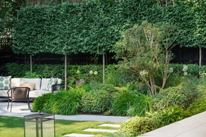 COBHAM FAMILY GARDEN | Studio Pollyanna Landscape Design