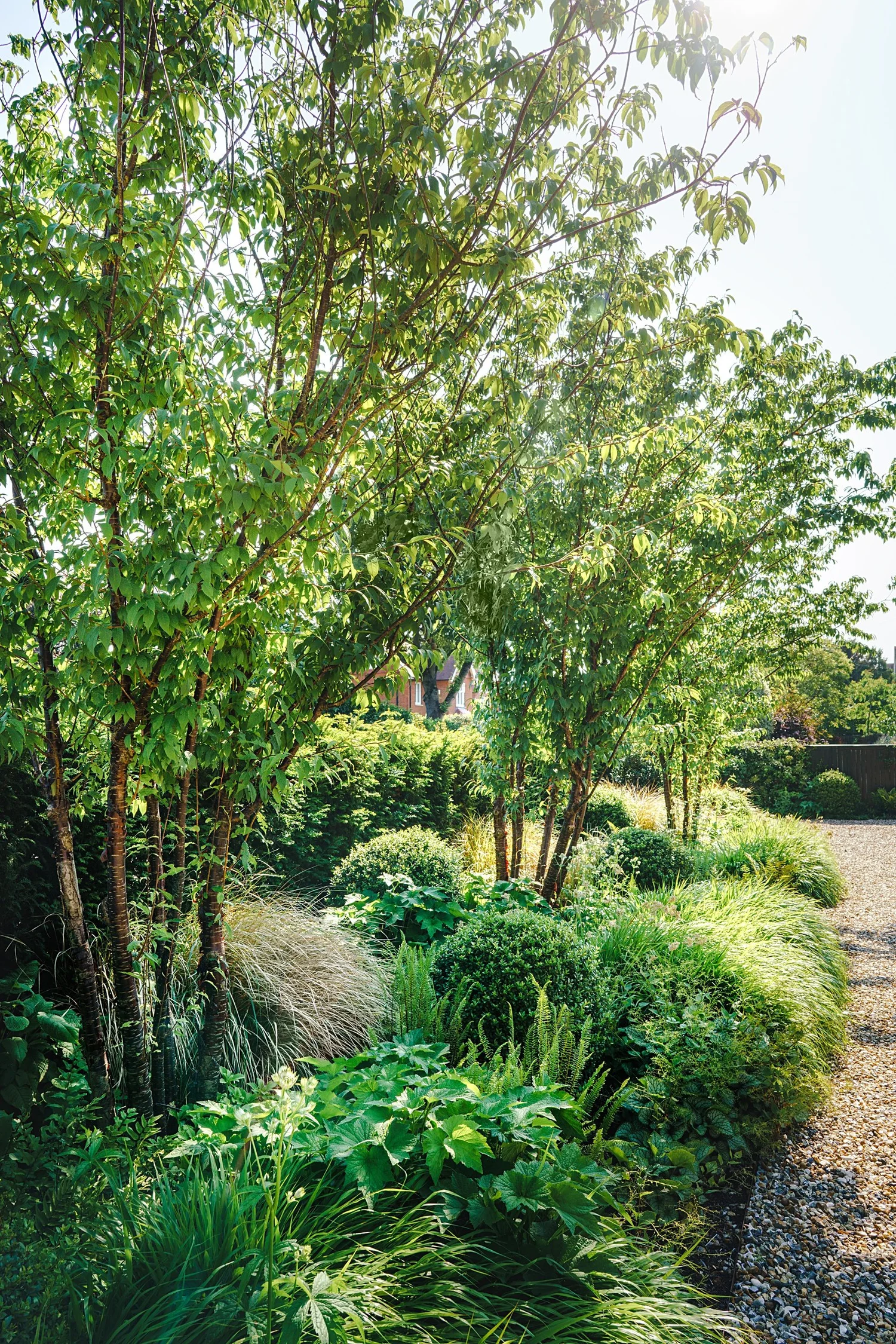 WINDSOR GARDEN | Studio Pollyanna Landscape Design
