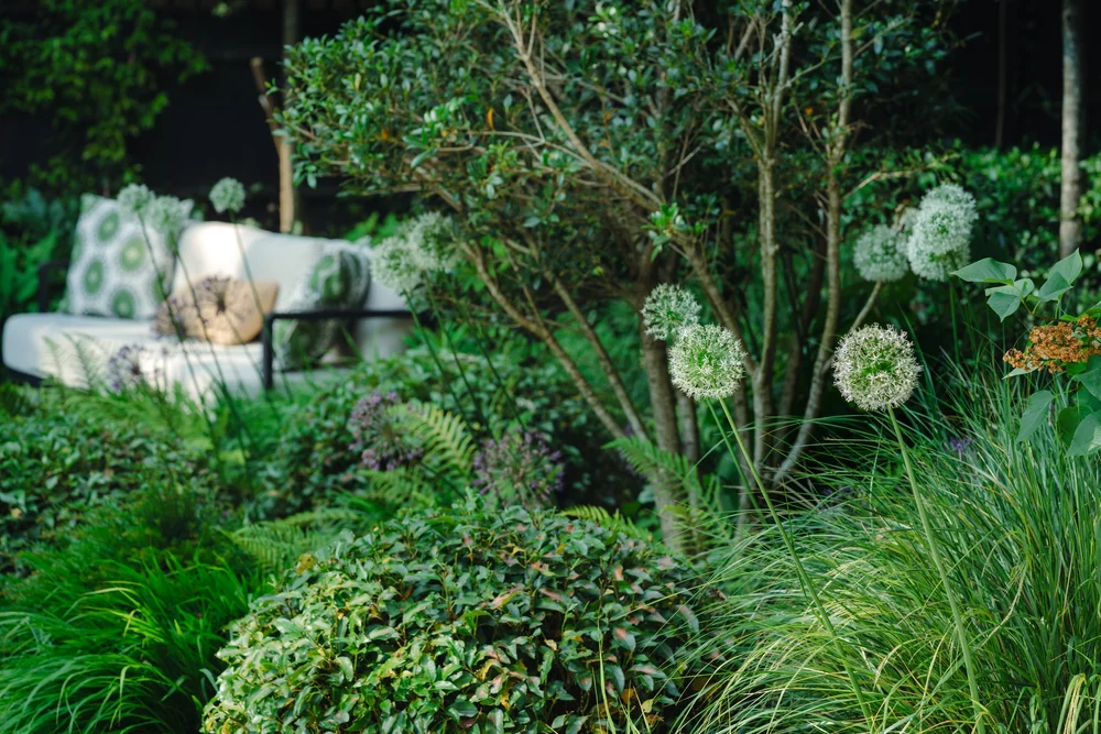 Cobham Family Garden | Studio Pollyanna Landscape Design