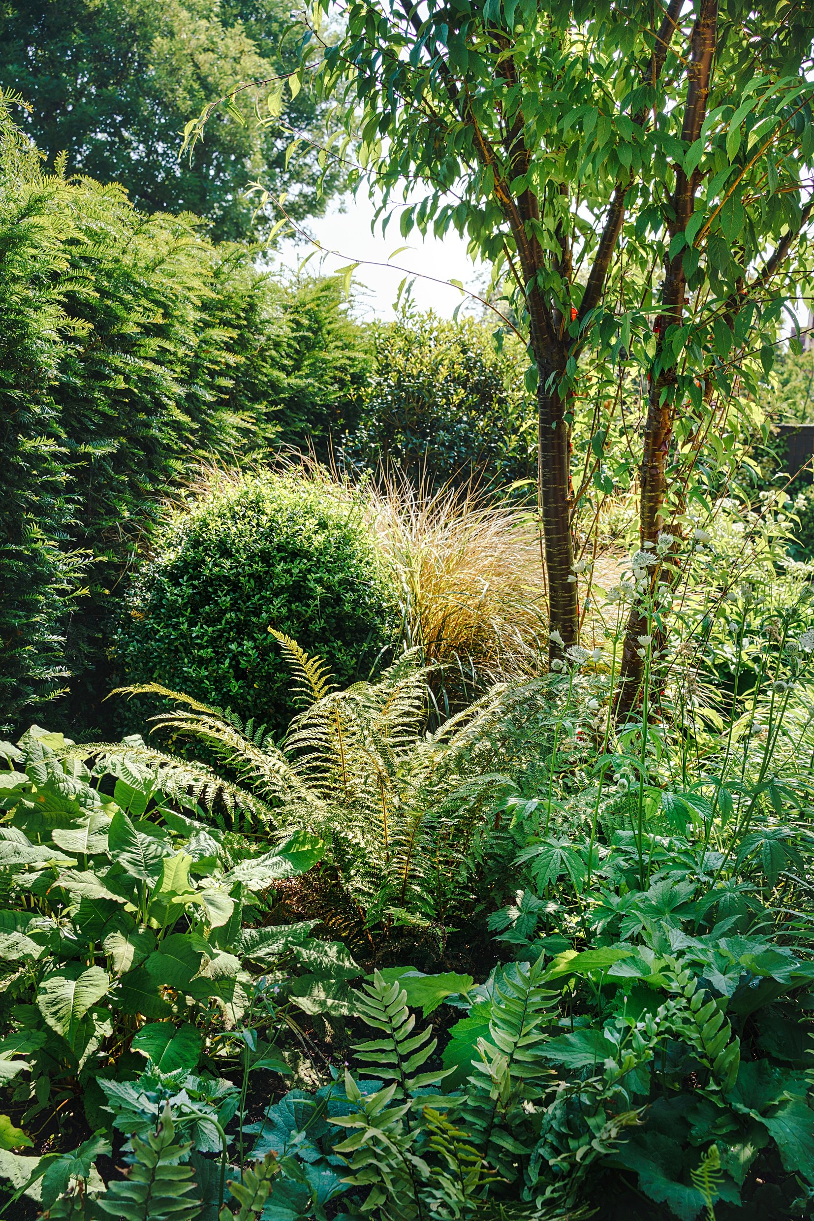 WINDSOR GARDEN | Studio Pollyanna Landscape Design