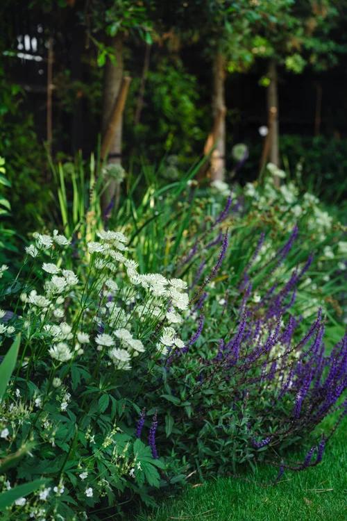 Cobham Family Garden | Studio Pollyanna Landscape Design