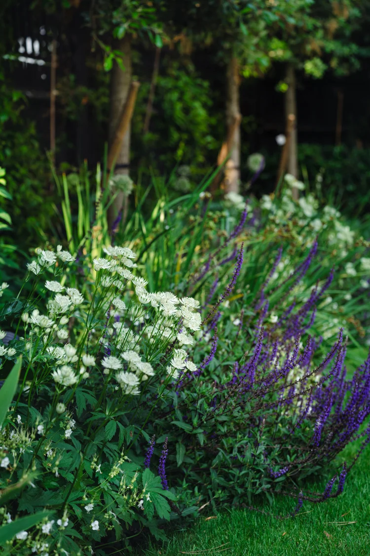 Cobham Family Garden | Studio Pollyanna Landscape Design