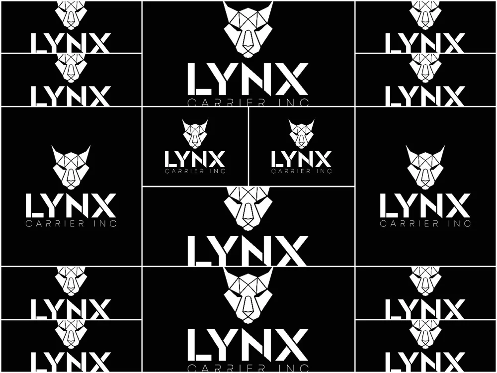 Company Drivers- Lynx Carrier INC — LYNX CARRIER