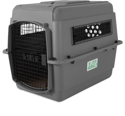 How to Choose the Correct Size Travel Kennel For Your Dog or Cat ...