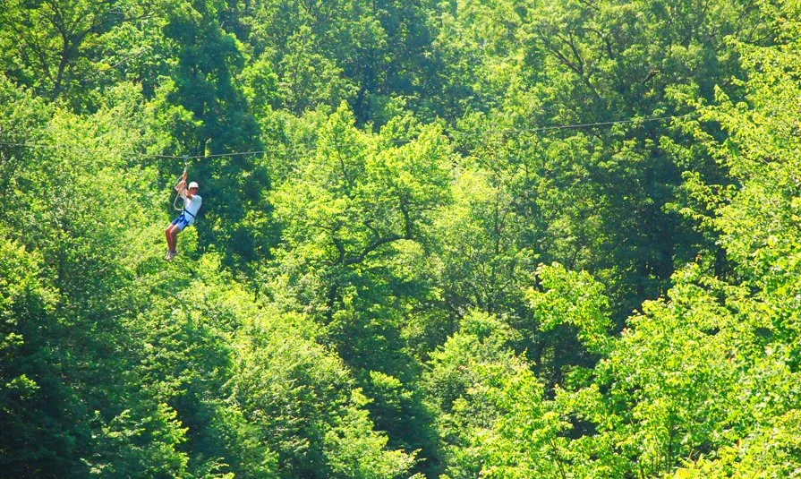 GV summer camp — Genesee Valley Outdoor Learning Center