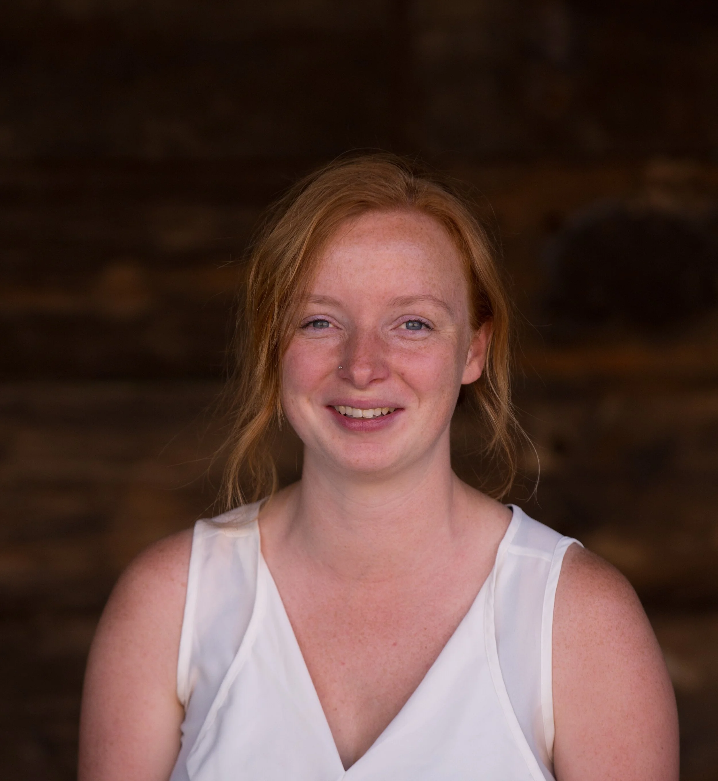 About Aardvark EM — Aardvark EM